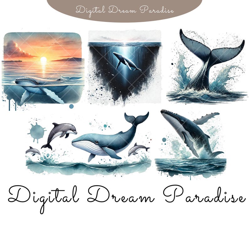 Whale Clipart Bundle With Transparent Backgrounds | 10 High Quality PNG ...