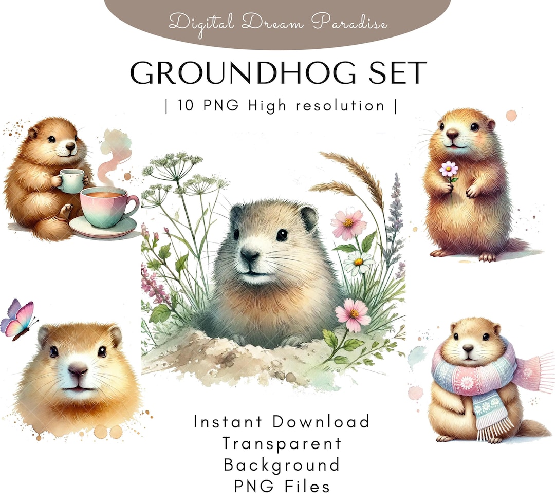Ground Hog Clipart Bundle Groundhog With Transparent Background | 10 ...