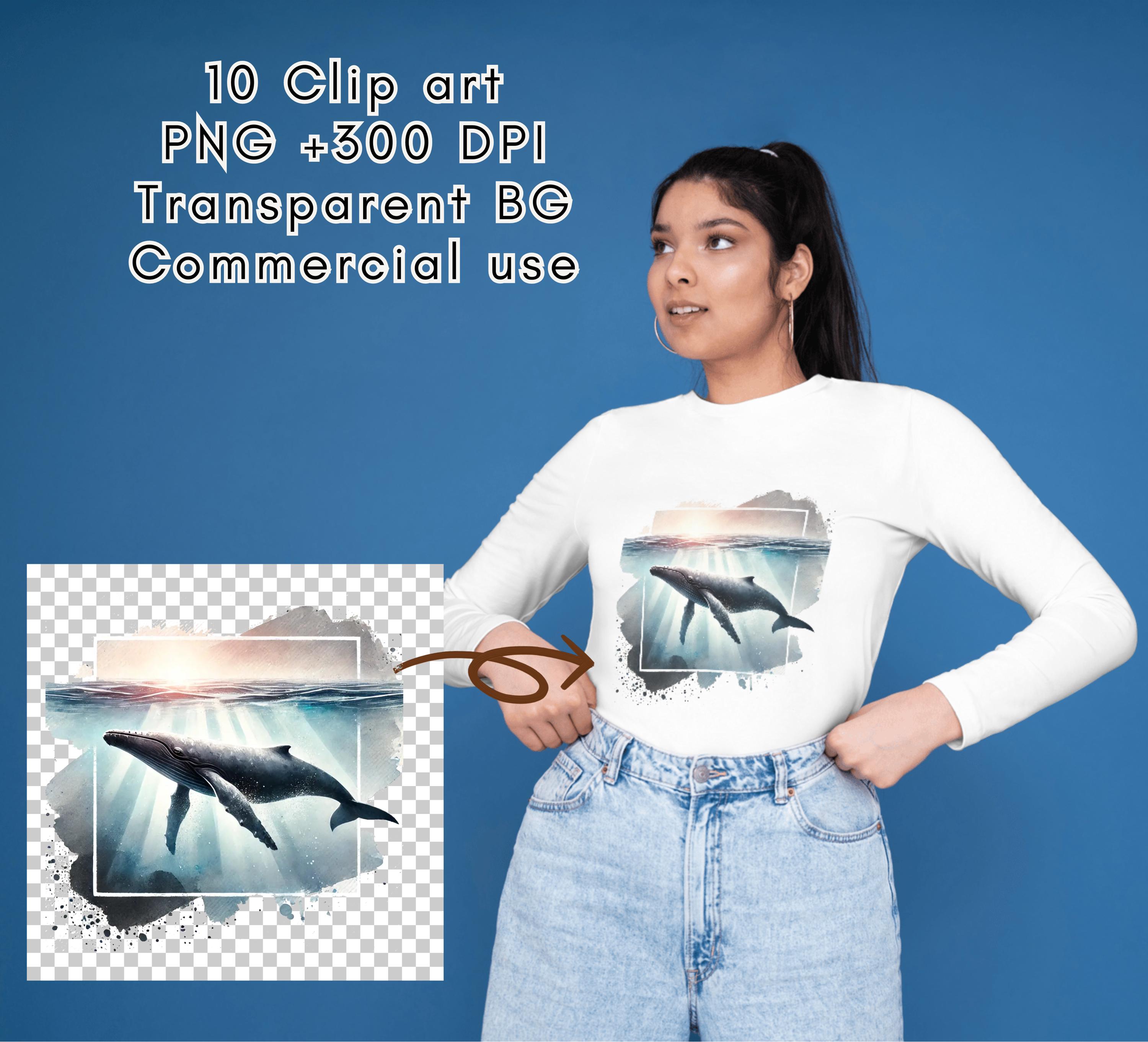 Whale Clipart Bundle With Transparent Backgrounds | 10 High Quality PNG ...