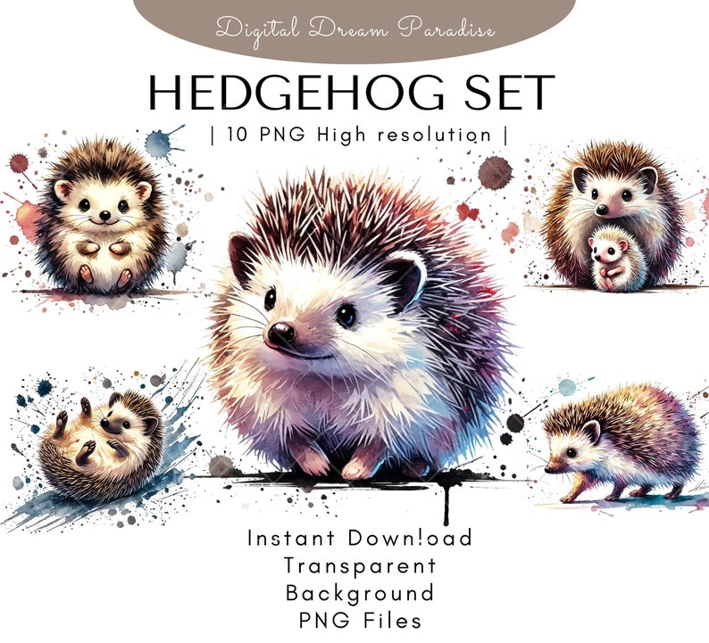 High Quality Hedgehog Clipart Bundle With Transparent Backgrounds | 10 ...