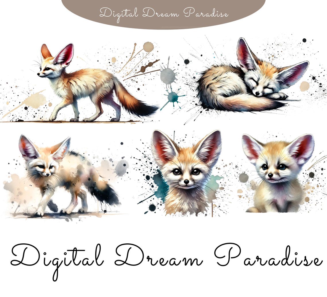 High Quality Desert Fox (fennec) Clipart Bundle With Transparent ...