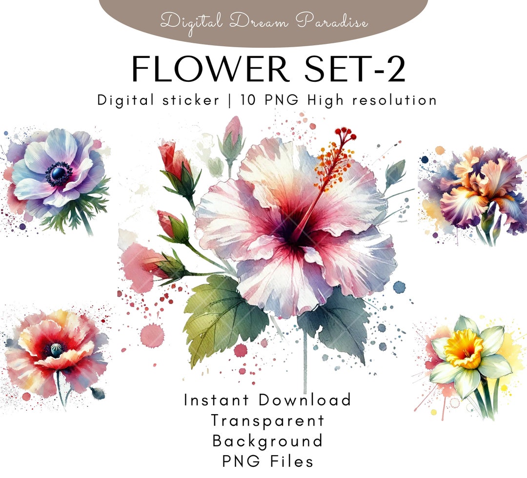 High Quality Flower Set 2 Clipart Bundle With Transparent Backgrounds ...