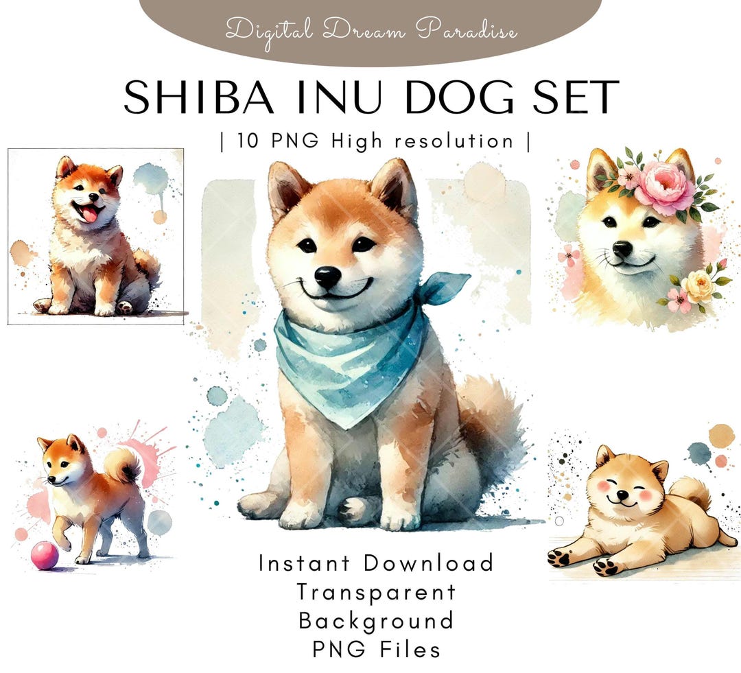 Shiba Inu Dog Clipart Bundle With Transparent Backgrounds | 10 High ...