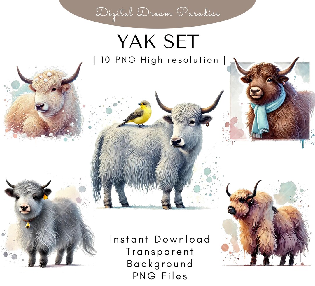 Yak Clipart Bundle With Transparent Backgrounds | 10 High Quality PNG ...
