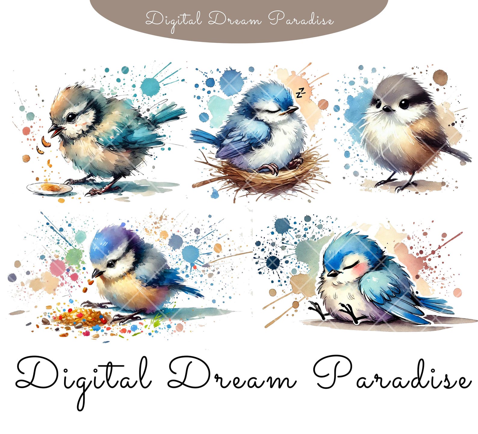 High Quality Little Bird Clipart Bundle With Transparent Backgrounds ...