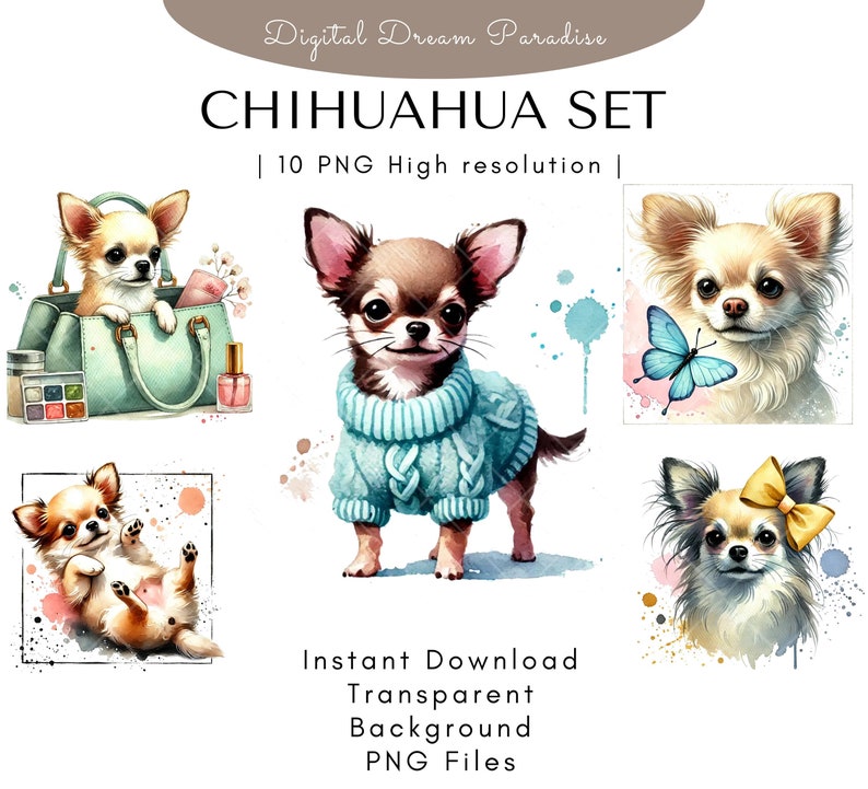 Chihuahua Dog Clipart Bundle With Transparent Backgrounds | 10 High ...