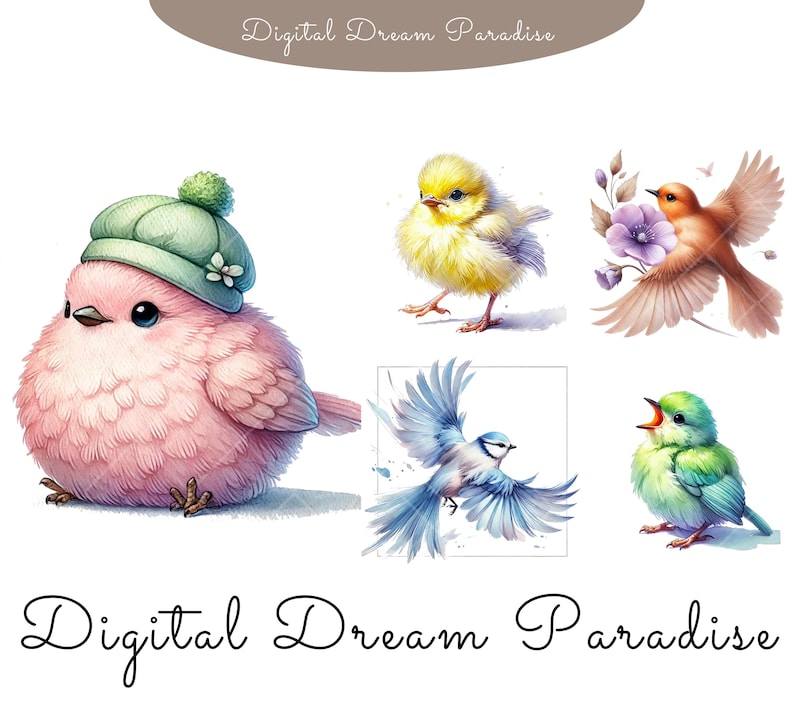 Bird Clipart Bundle With Transparent Backgrounds | 10 High Quality PNG ...