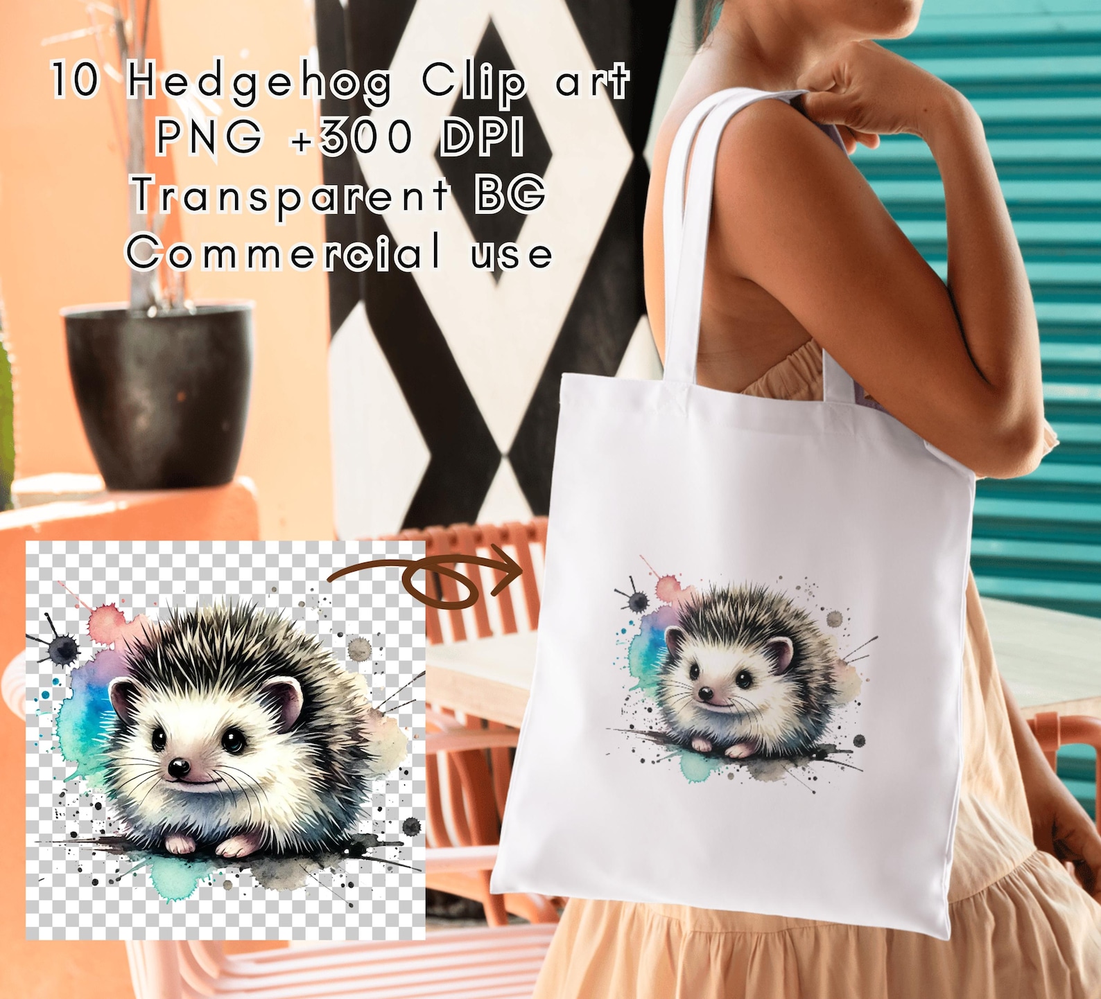 High Quality Hedgehog Clipart Bundle With Transparent Backgrounds | 10 ...