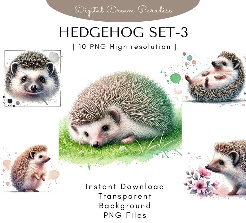 High Quality Hedgehog Clipart Bundle 3 With Transparent Backgrounds ...