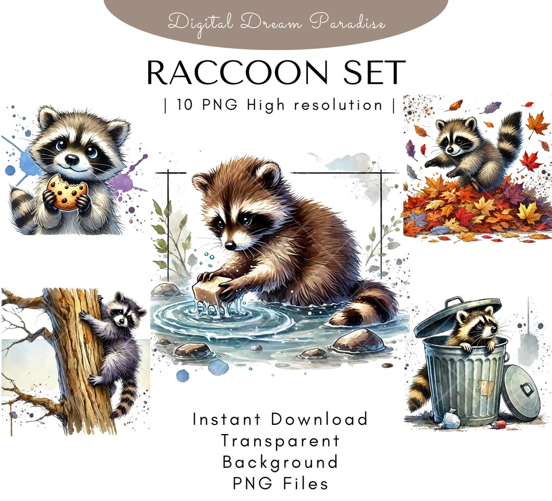 Raccoon Clipart Bundle With Transparent Backgrounds | 10 High Quality ...