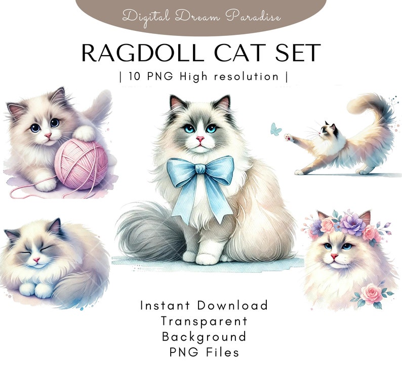 Ragdoll Cat Clipart Bundle With Transparent Backgrounds | 10 High ...