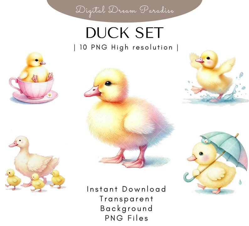 Duck Clipart Bundle With Transparent Backgrounds | 10 High Quality PNG ...