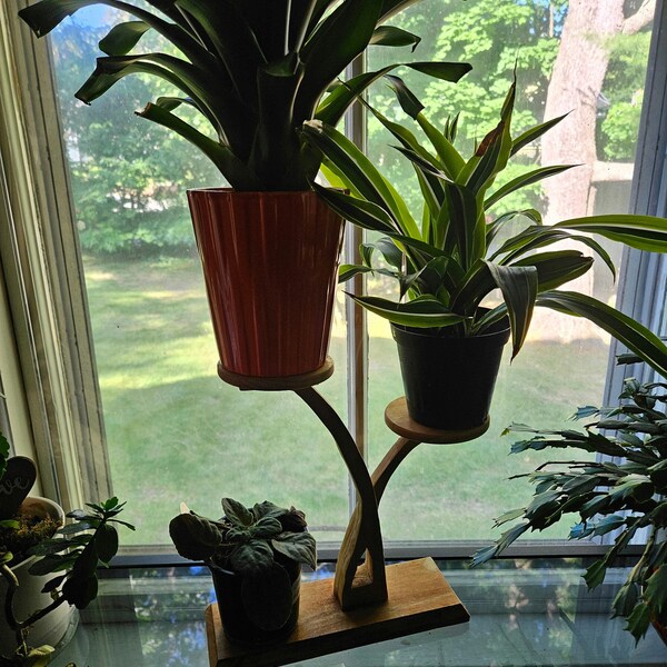 Unique Plant Stand - Etsy