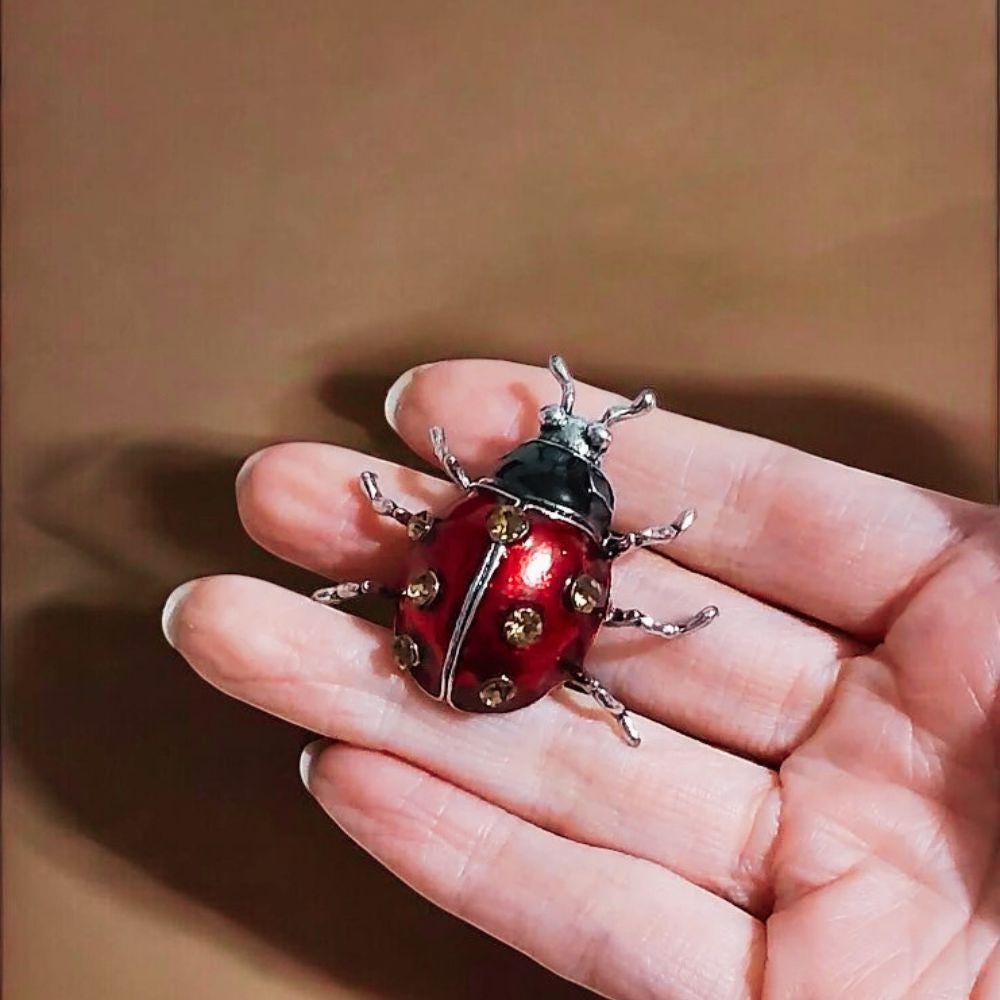 Ladybug Brooch Unique Brooch Insect Brooch Enamel Pin