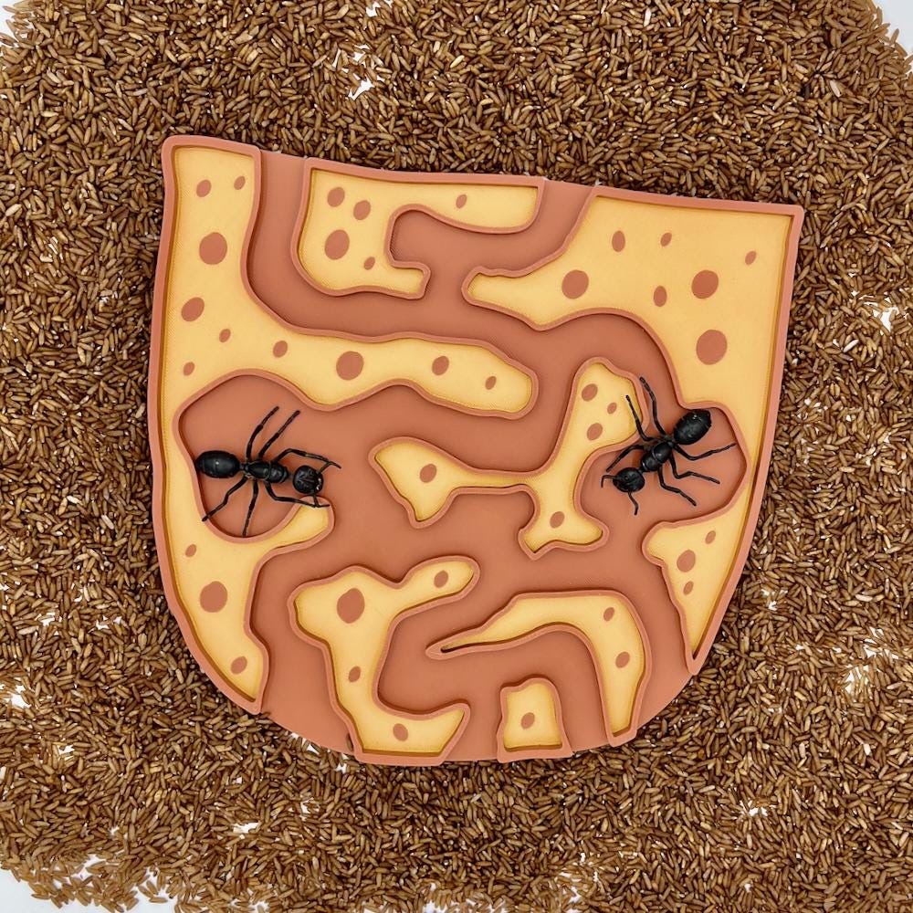 Ant Maze Tray – Digital Download – 3D Printable Sensory Tray – STL File ...