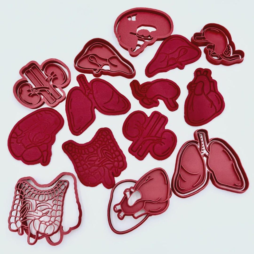 Human Organs Cookie Cutter Set – STL Files for 3D Printing - Etsy UK