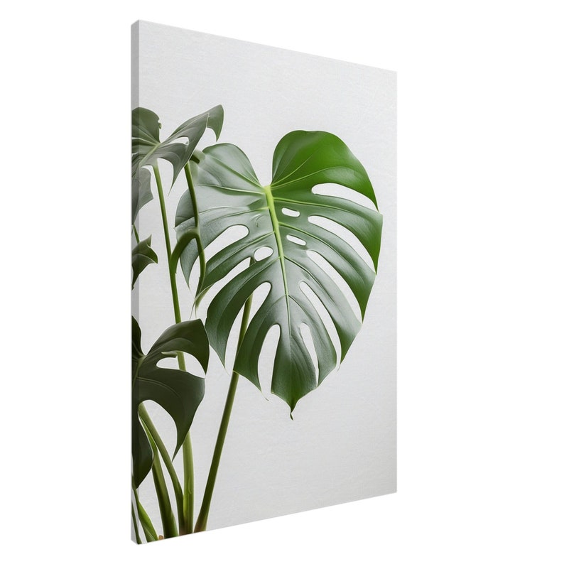 Monstera Plant Canvas Art Modern Botanical Wall Decor Tropical Jungle Leaf Print for Home or ...