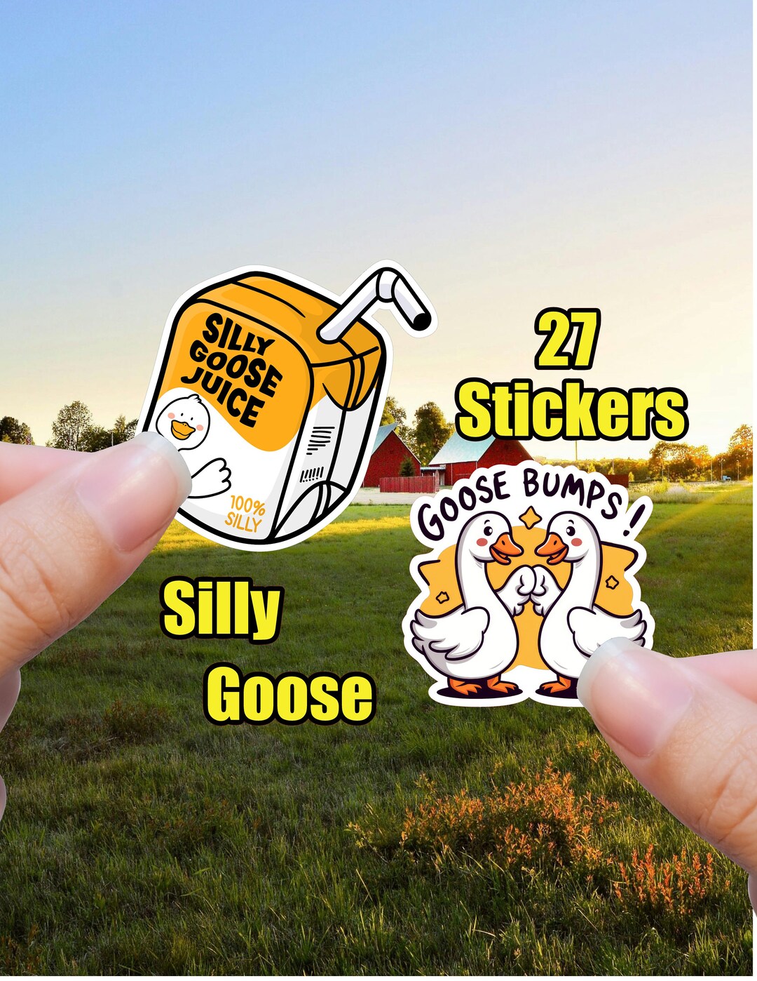 Silly Goose Sticker Pack 27 Pcs - Etsy