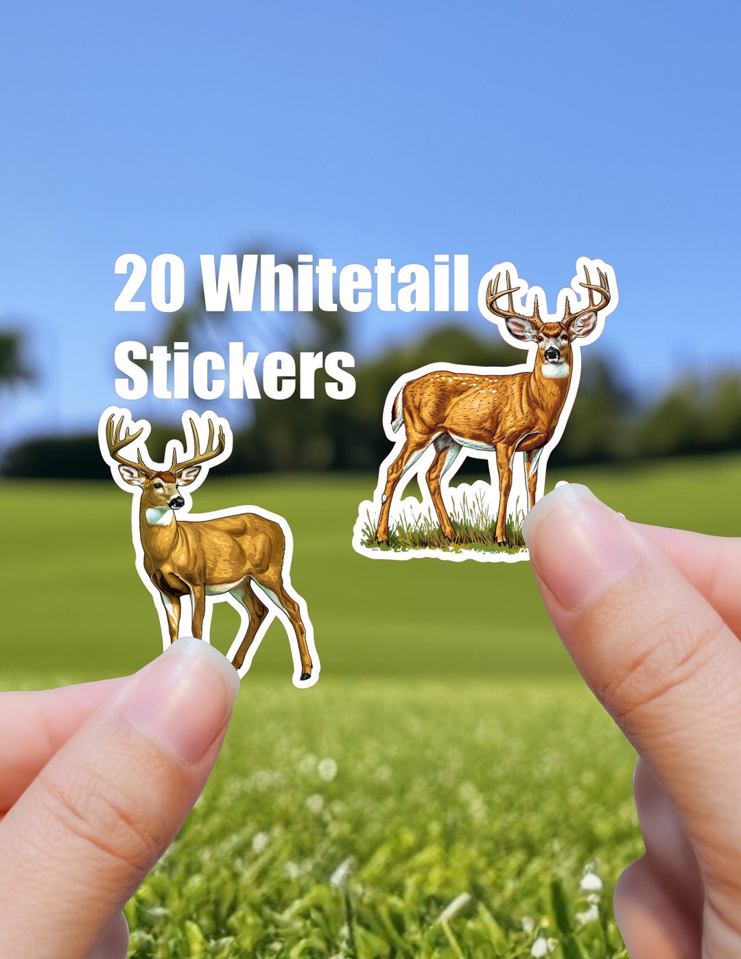 Whitetail Deer Stickers 20 PC 2 Inch Set - High Gloss or Holographic ...