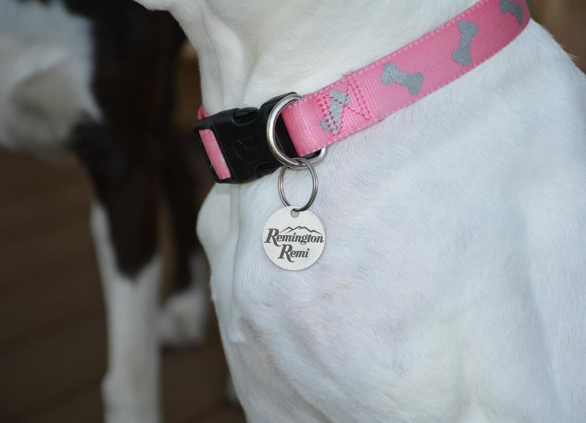 Personalized Engraved Dog Tags | Custom Metal Pet ID Tags With Unique ...