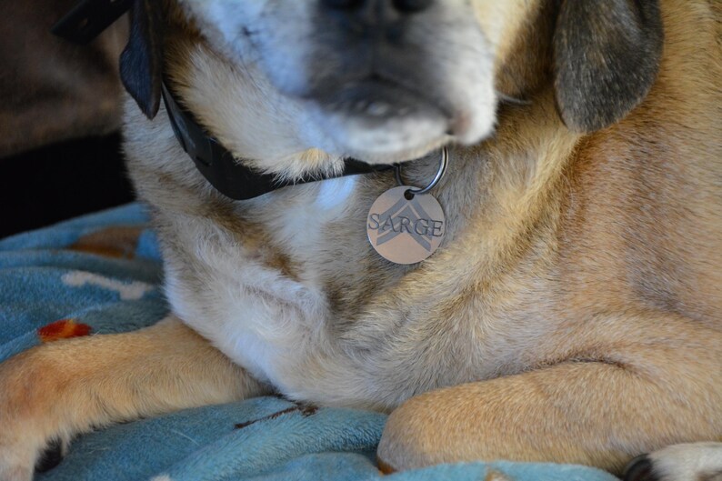 Personalized Engraved Dog Tags | Custom Metal Pet ID Tags With Unique ...