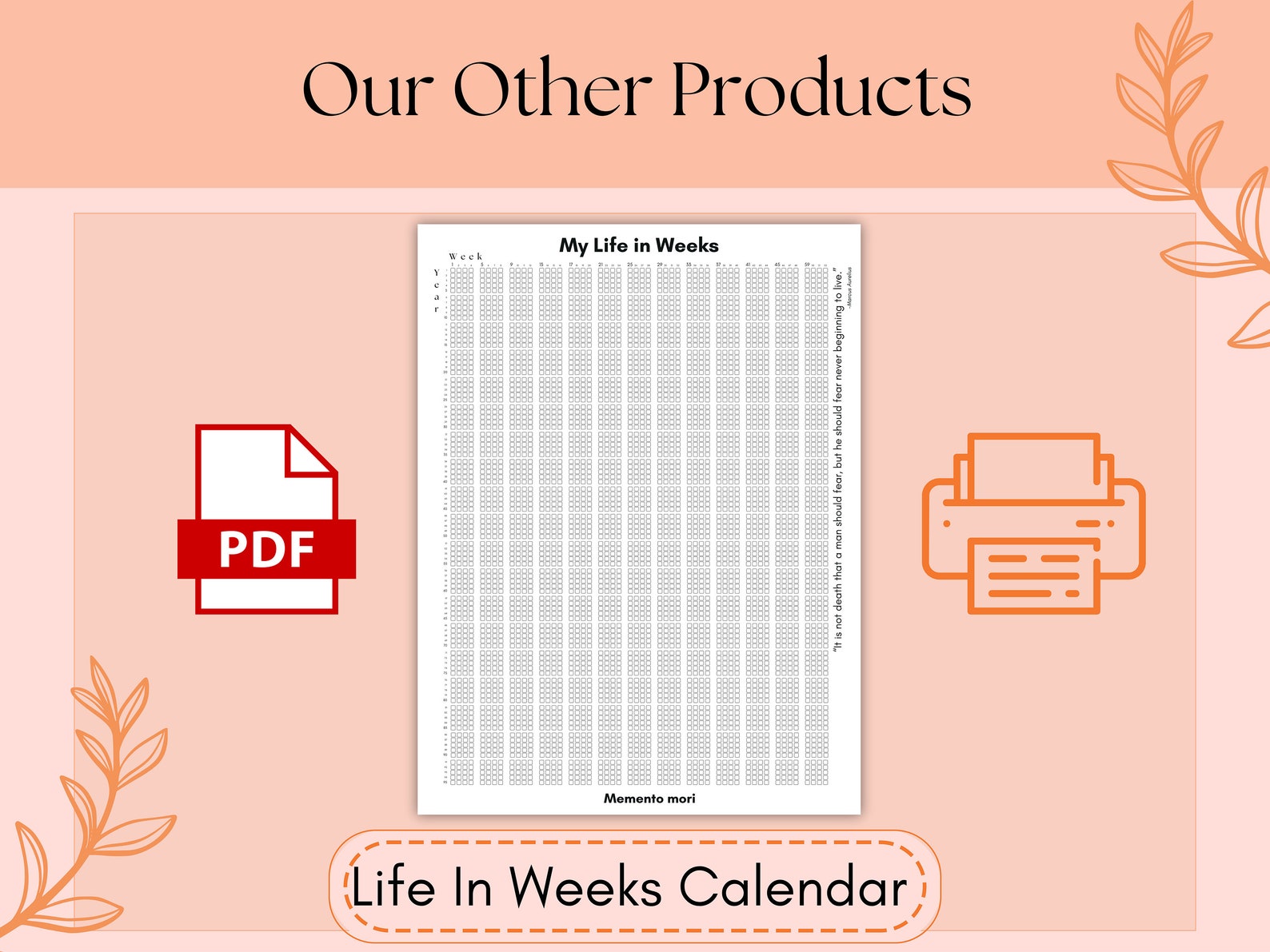 Personalized Life in Weeks Calendar | Memento Mori Google Sheets ...