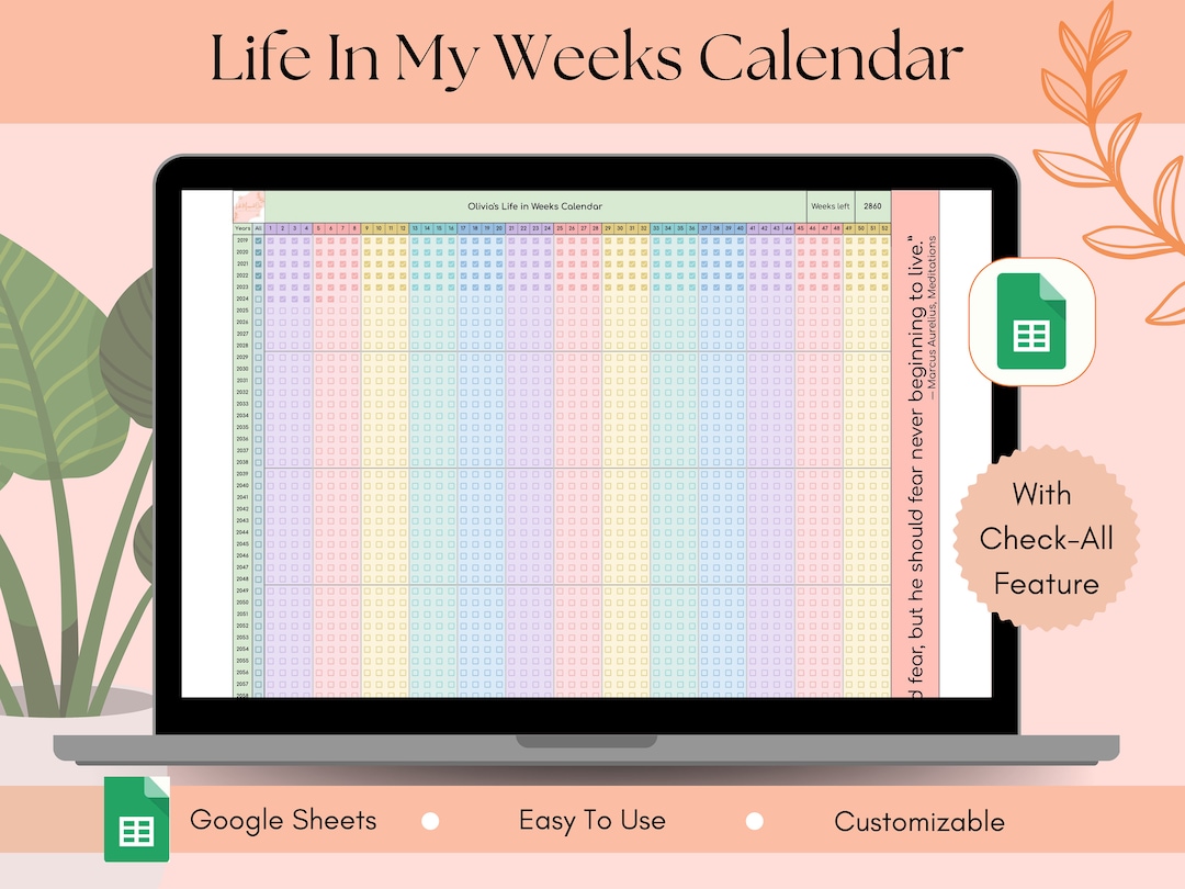 Personalized Life in Weeks Calendar | Memento Mori Google Sheets ...