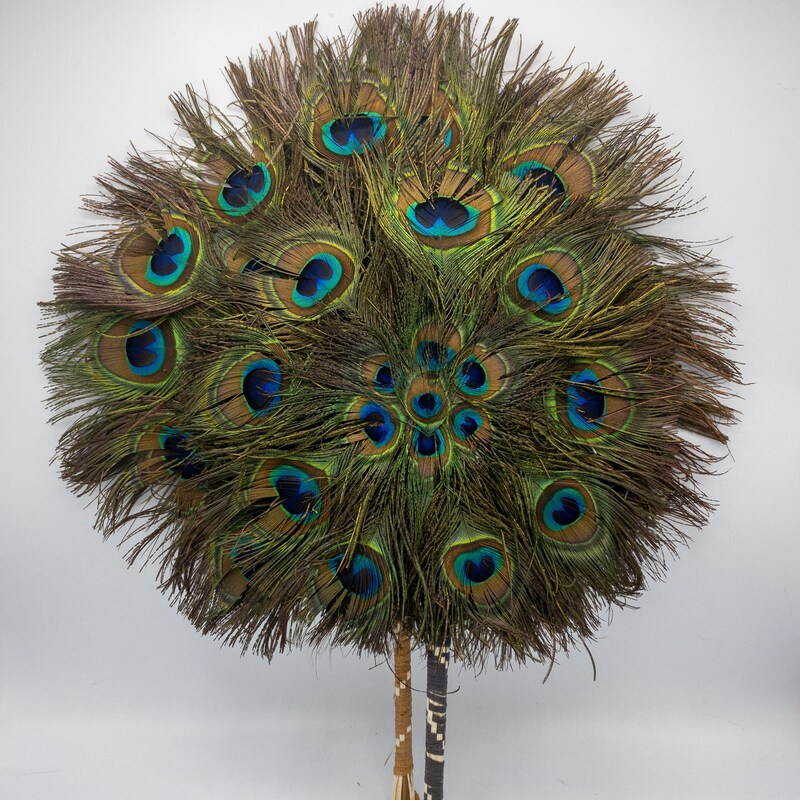 Peacock Fan - Etsy