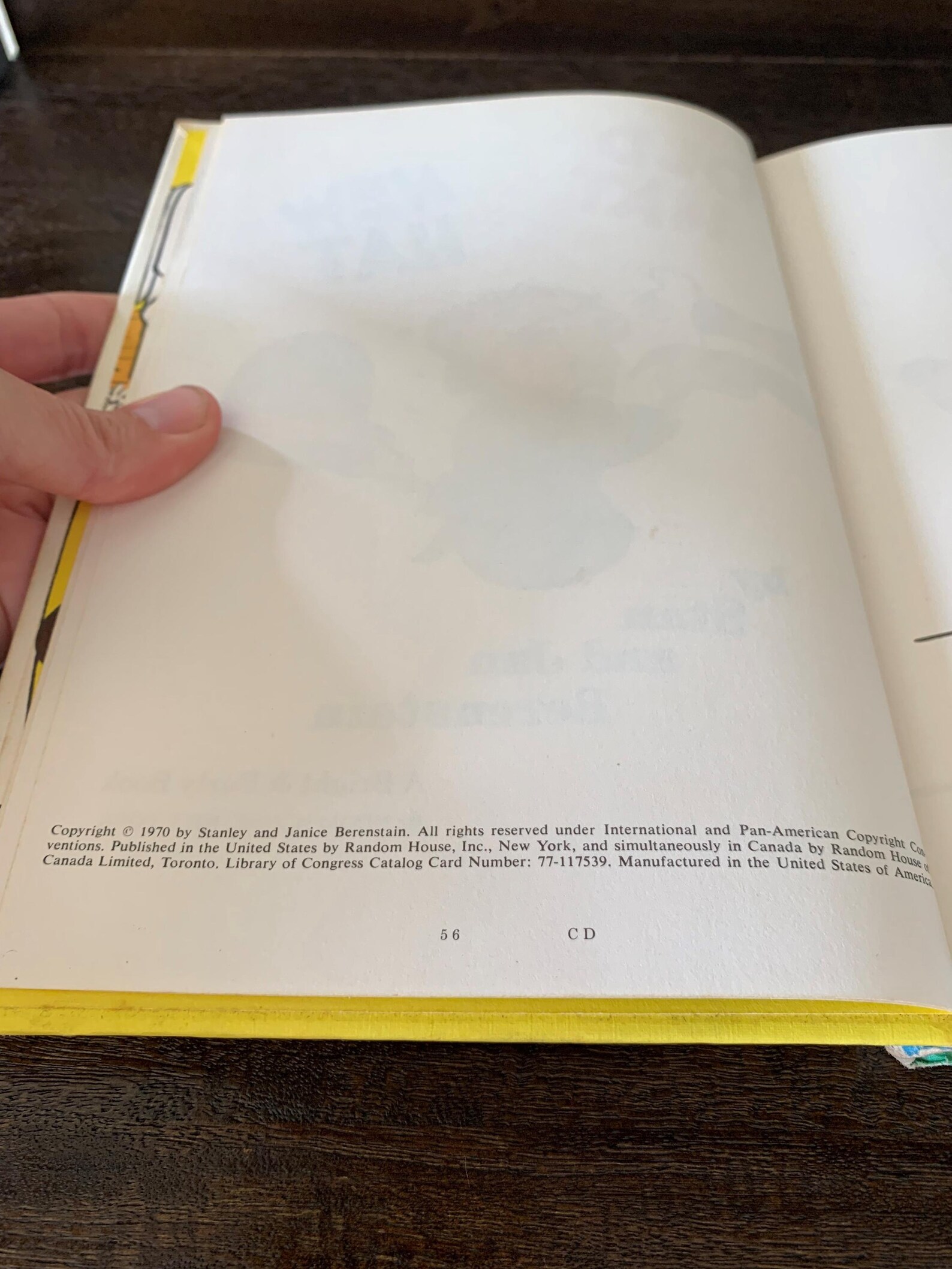 Old Hat New Hat: Berenstain Bears 1970 1st Edition - Etsy