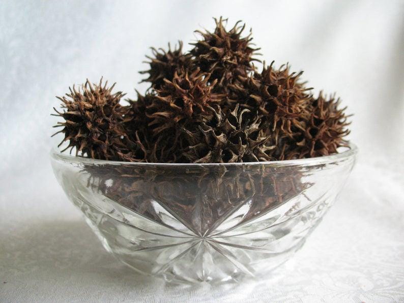 Sweet Gum Tree Pods, Set of 25 - Etsy