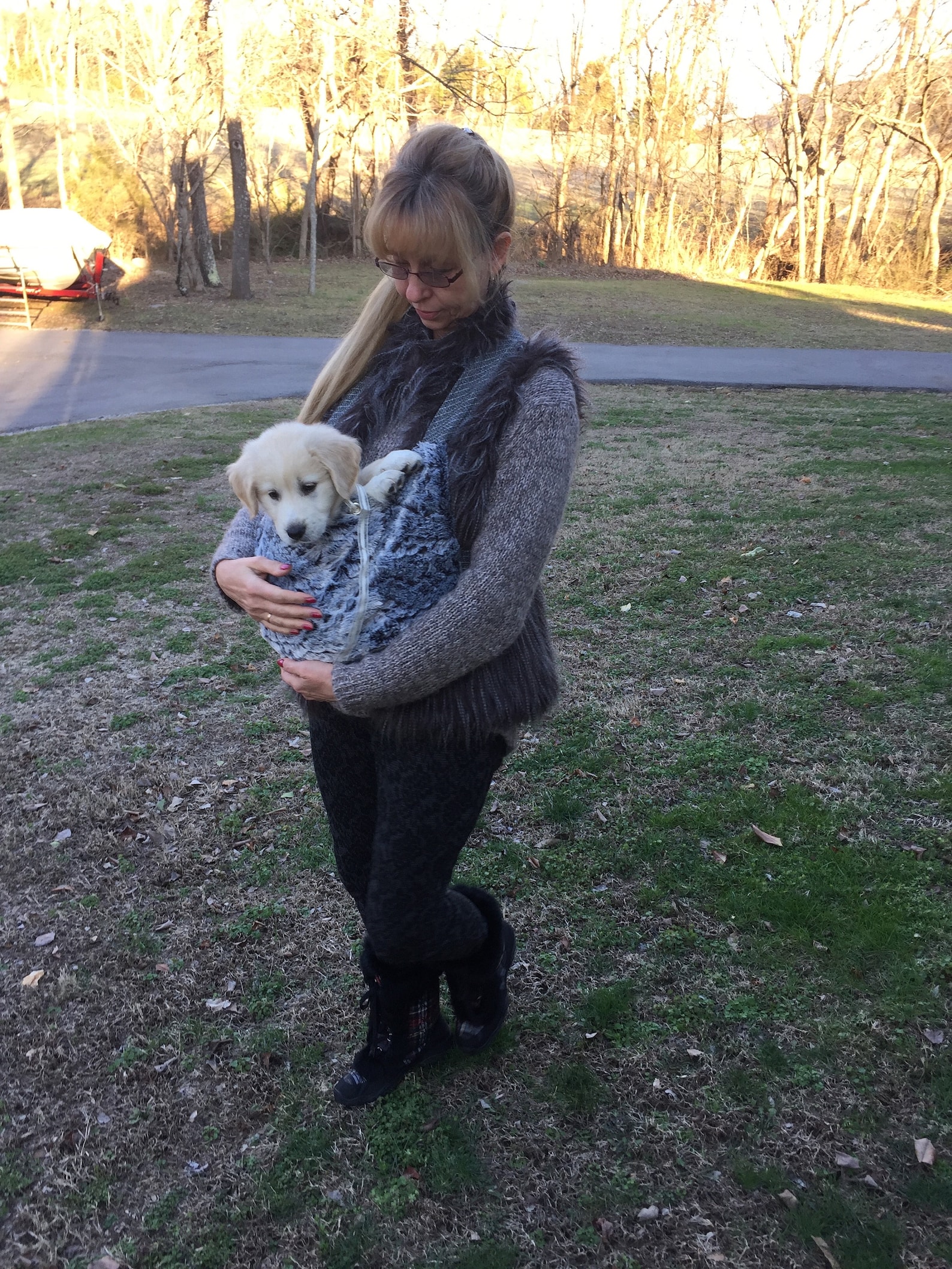 Pet Carrier, Pet Sling, Dog Carrier, Cat Carrier, Kangaroo Pouch, Hands ...