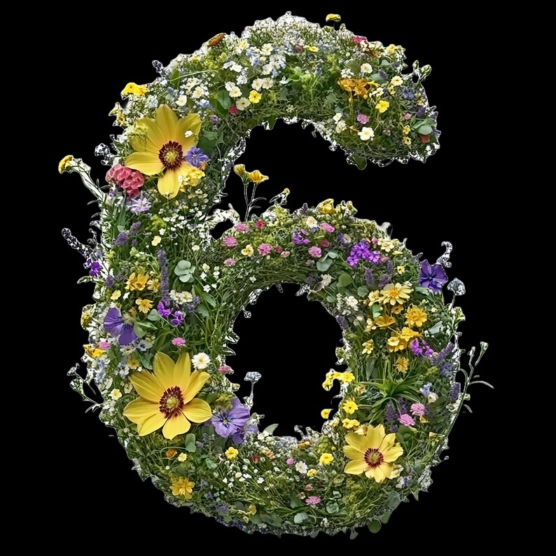 Floral Number Digital Vector Pack Digital Download PNG Files 300DPI ...