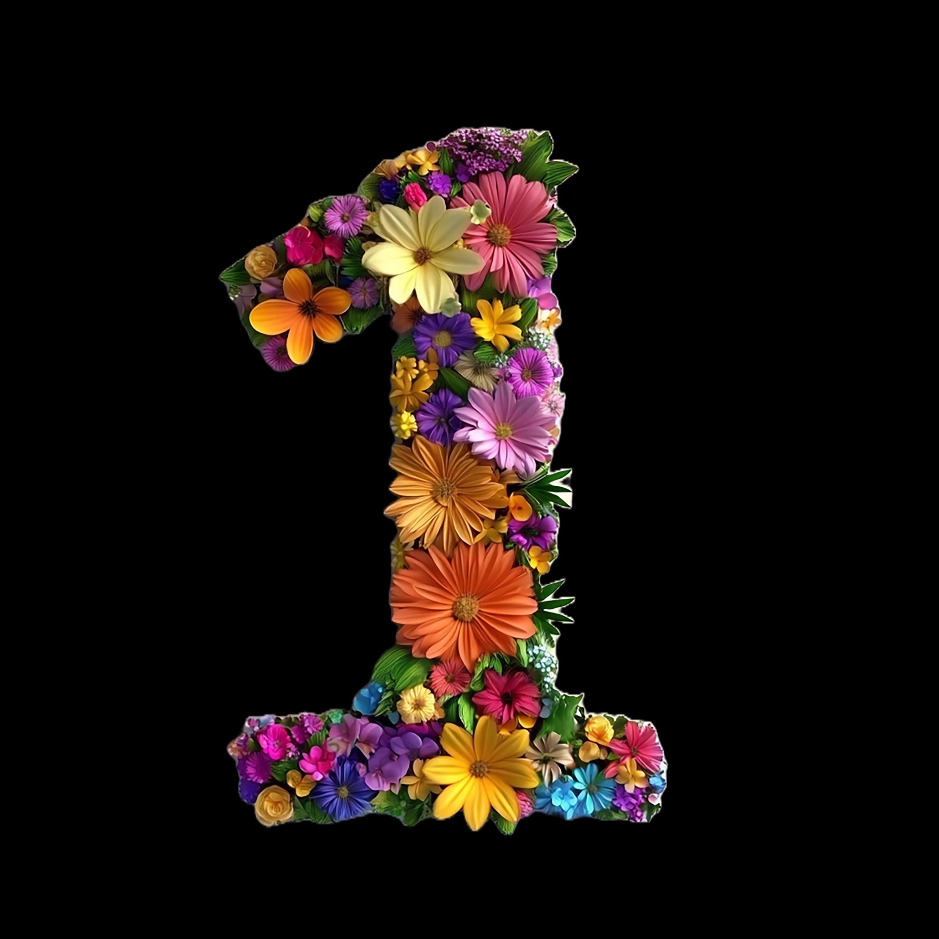 Floral Number Digital Vector Pack Digital Download PNG Files 300DPI ...