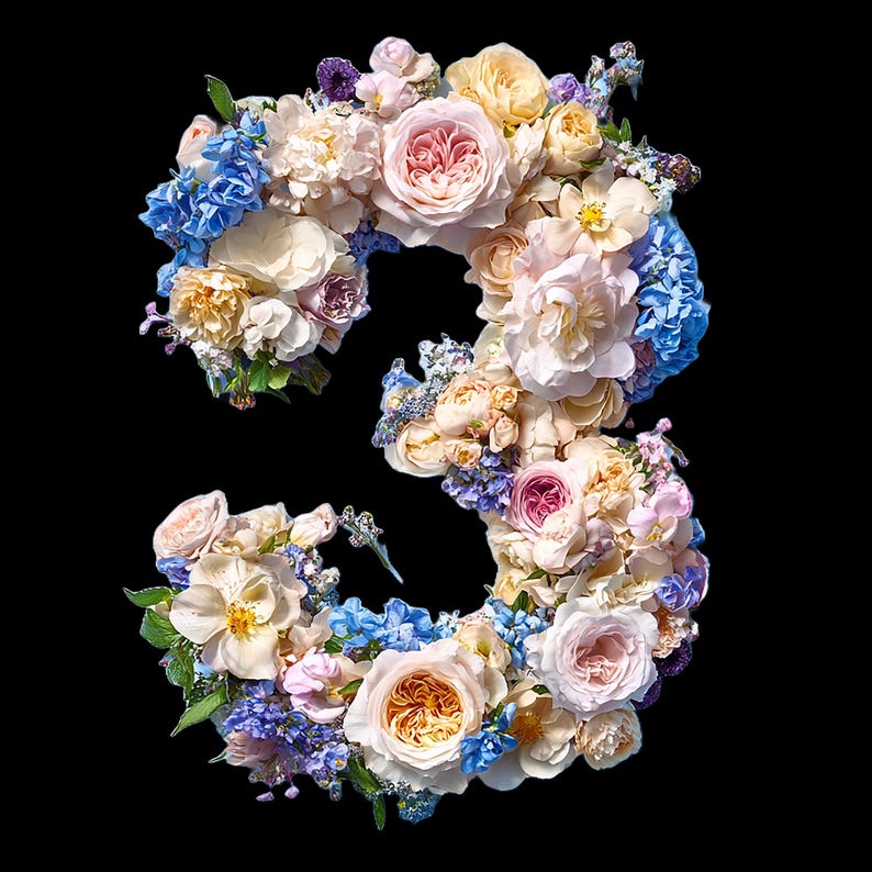 Floral Number Digital Vector Pack Digital Download PNG Files 300DPI ...