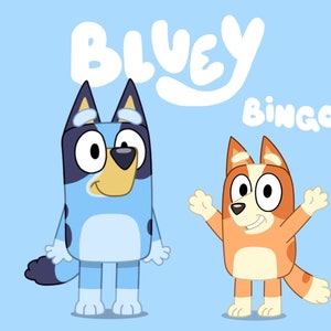 Bluey and Bingo Mask Set Hand Painted - Etsy