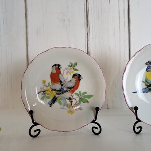 Vintage Mini Porcelain Song Bird Plates, Set of 2 Small Vintage Bird ...