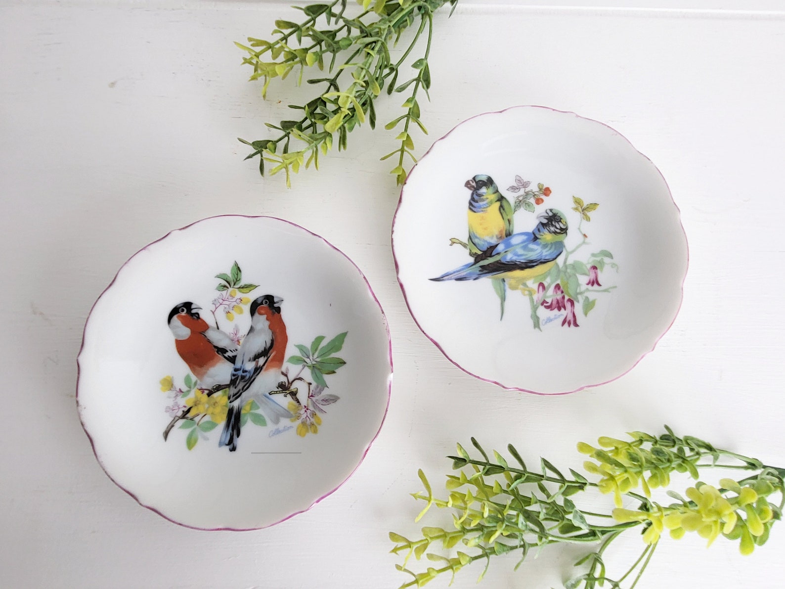 Vintage Mini Porcelain Song Bird Plates, Set of 2 Small Vintage Bird ...