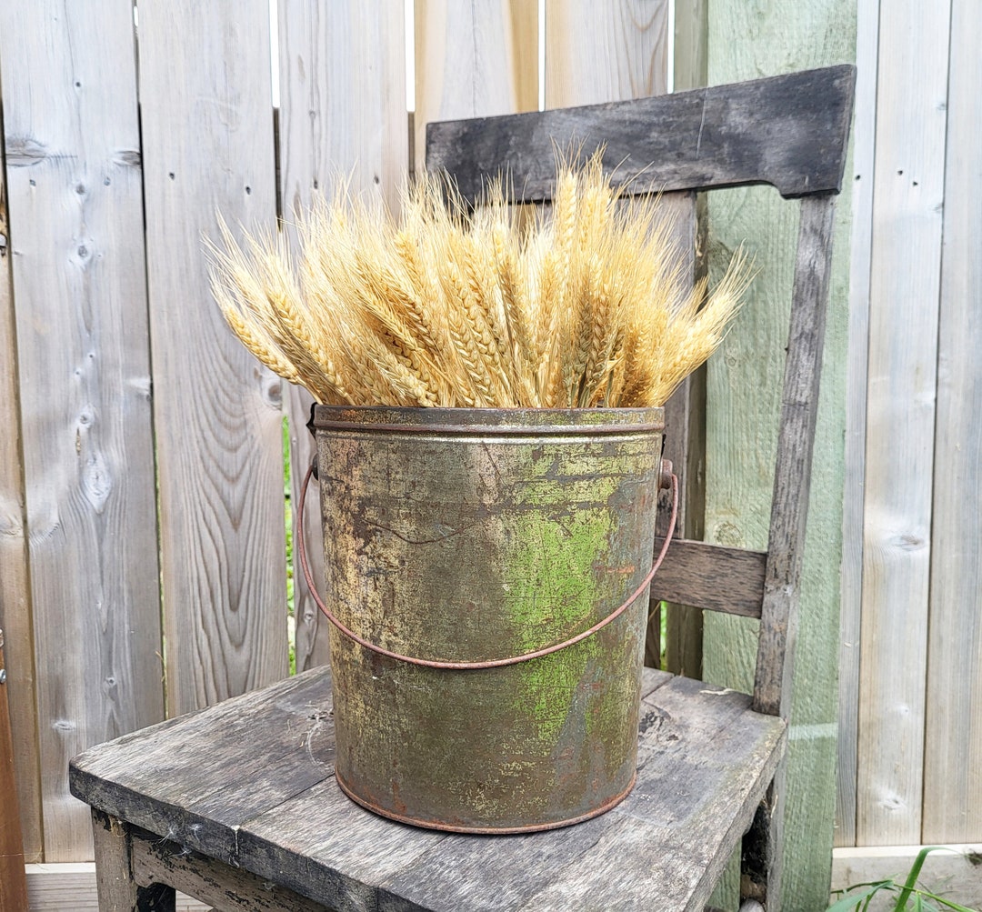 Vintage Rusty Primitive Large Pail With Dried Real Wheat, Vintage Rusty ...