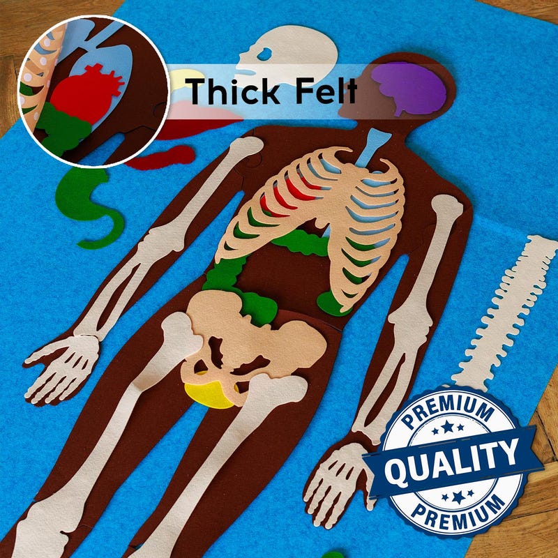 Human Body Felt - Etsy