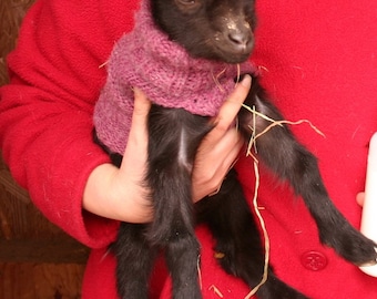 Goat Sweater - Etsy