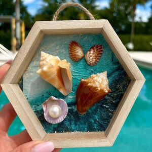 Natural Seashell Shadow Box | Florida Fighting Conch Beach Scene Shadow ...