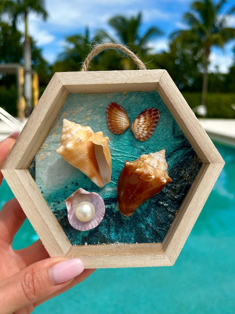 Natural Seashell Shadow Box | Florida Fighting Conch Beach Scene Shadow ...