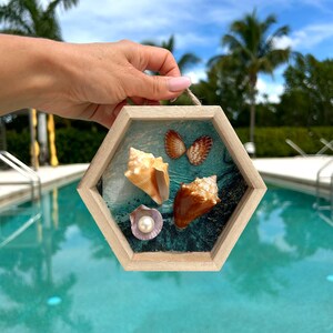 Natural Seashell Shadow Box | Florida Fighting Conch Beach Scene Shadow ...