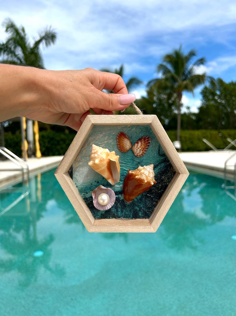 Natural Seashell Shadow Box | Florida Fighting Conch Beach Scene Shadow ...