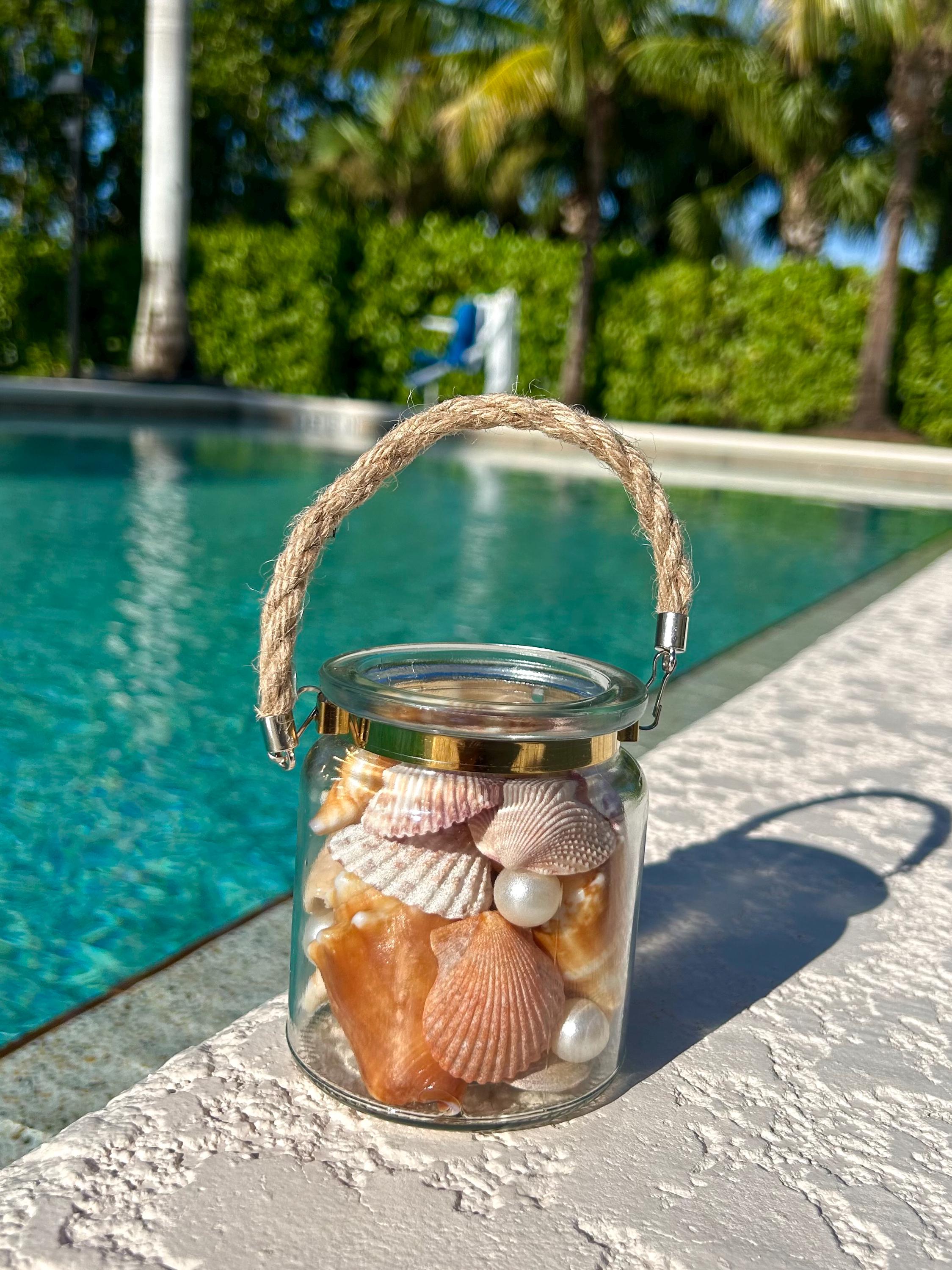 Natural Seashell Kit in Glass Vase | Beach Wedding Decor | Assorted ...
