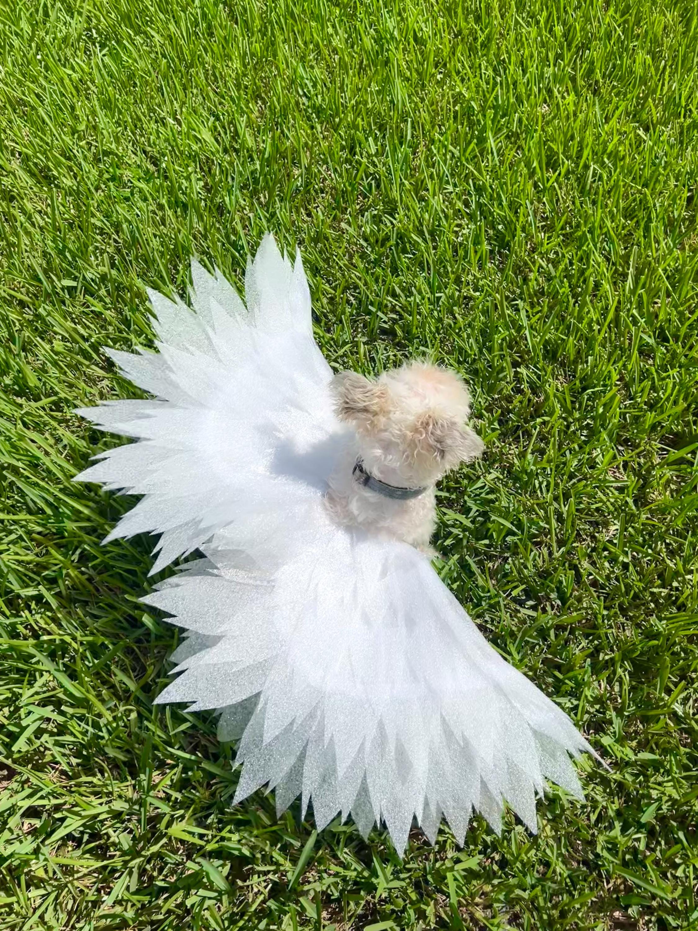 Halloween Dog Wings White Angel Wings for Dogs Cosplay Angel Wings ...