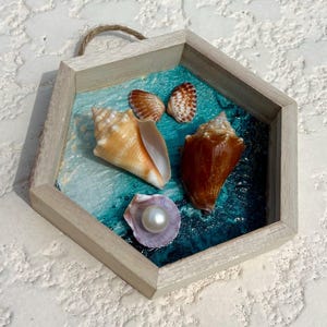 Natural Seashell Shadow Box | Florida Fighting Conch Beach Scene Shadow ...