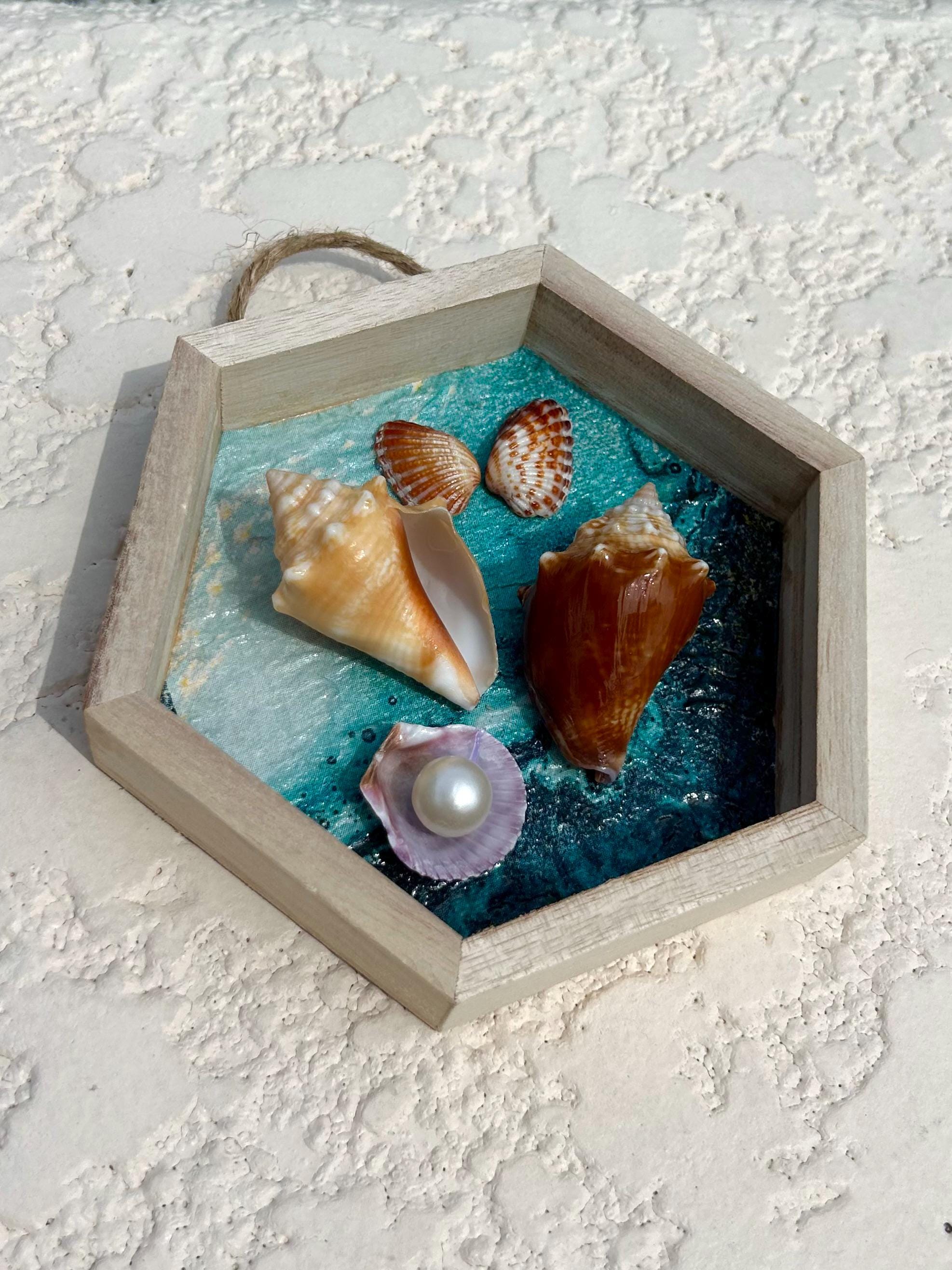 Natural Seashell Shadow Box | Florida Fighting Conch Beach Scene Shadow ...