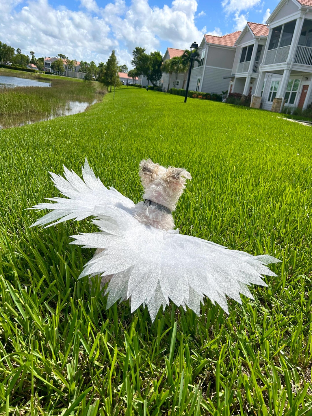 Halloween Dog Wings White Angel Wings for Dogs Cosplay Angel Wings ...
