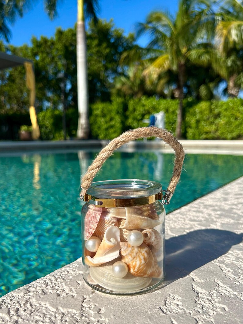 Natural Seashell Kit in Glass Vase | Beach Wedding Decor | Assorted ...